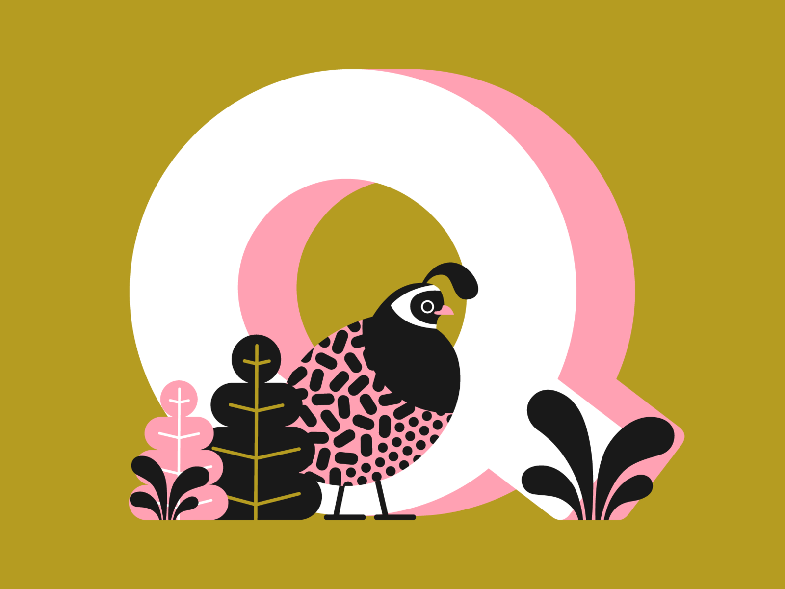 36 days of type - letter Q by Paulina Sadowska on Dribbble