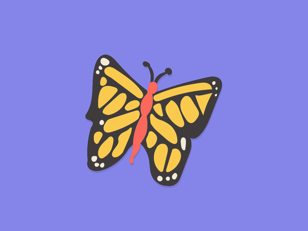 Asymmetric Butterfly by Kishan Thobhani on Dribbble