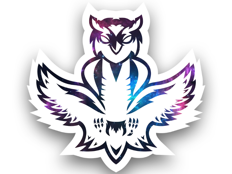 Astral Owl by Cacti_Designz | Mascot Logos on Dribbble