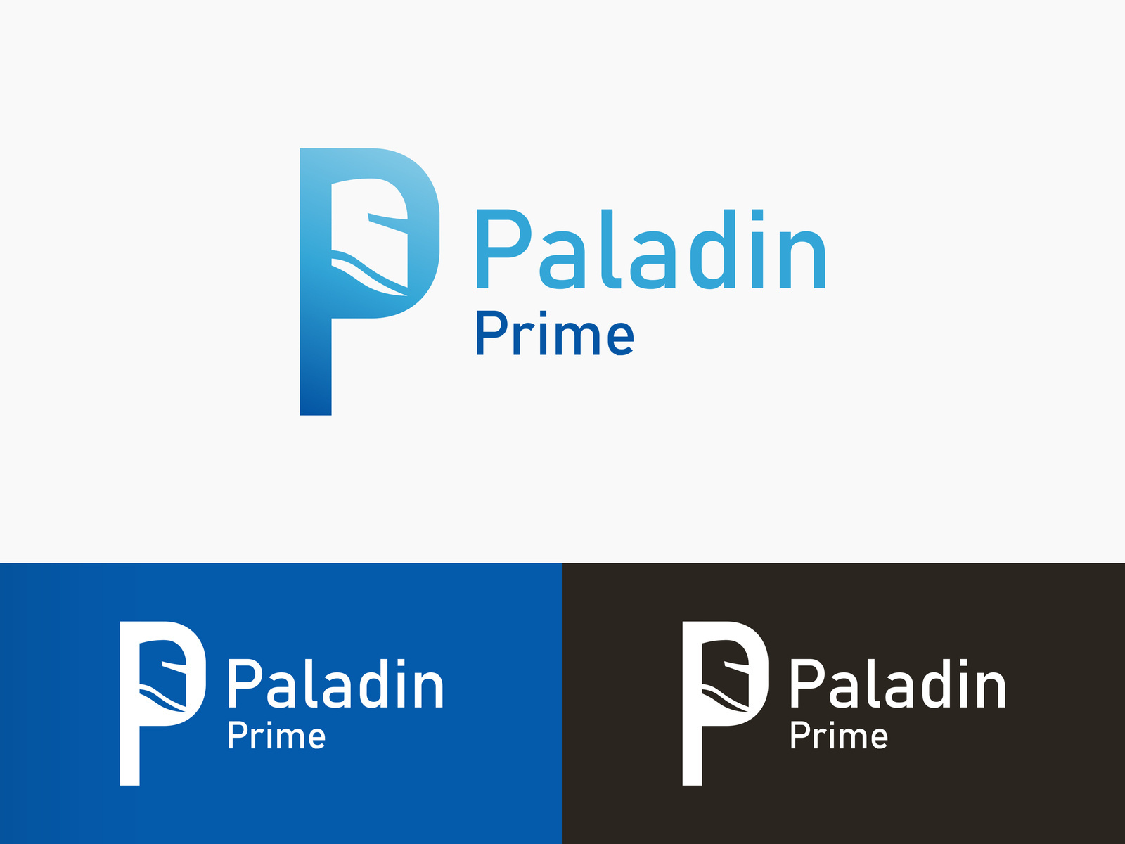 Paladin Prime Logotype by Timur Akhmanov on Dribbble
