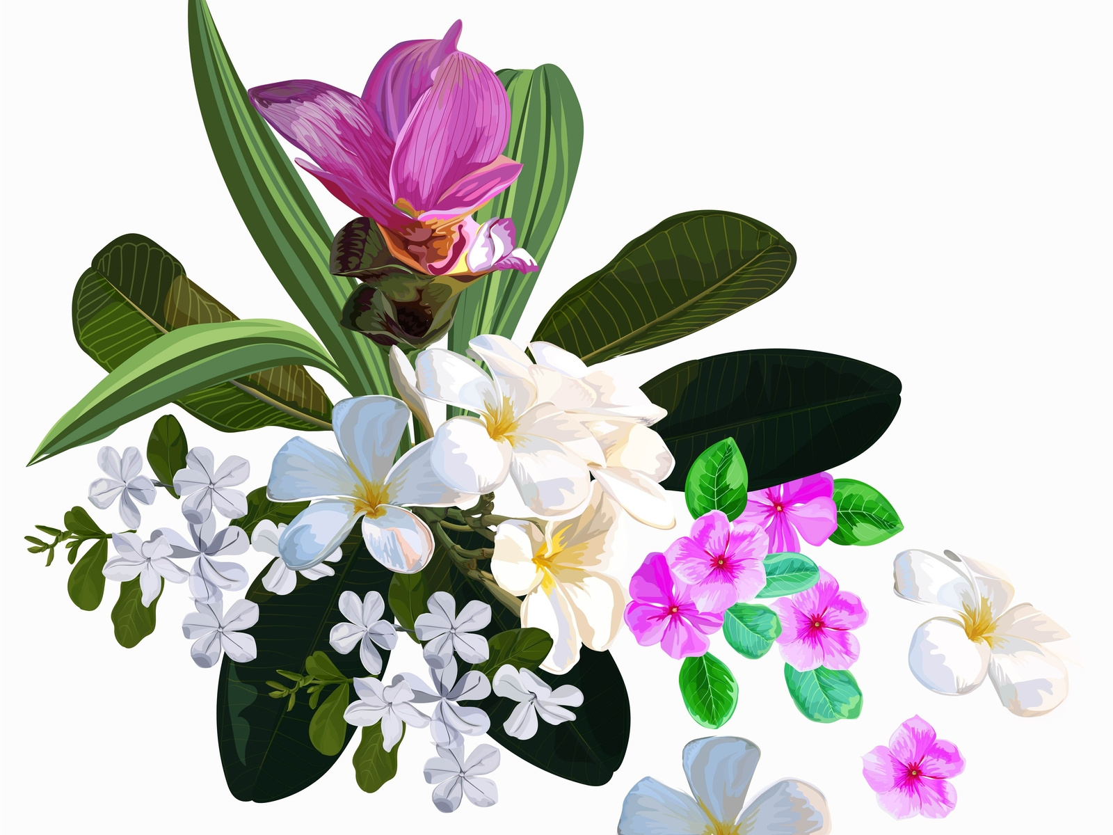 Tropical flowers Bouquet by Weera Seeknguluam on Dribbble