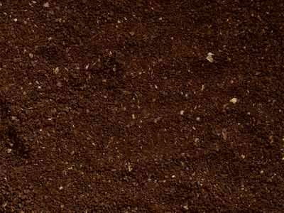 Coffee Grounds designs, themes, templates and downloadable graphic ...