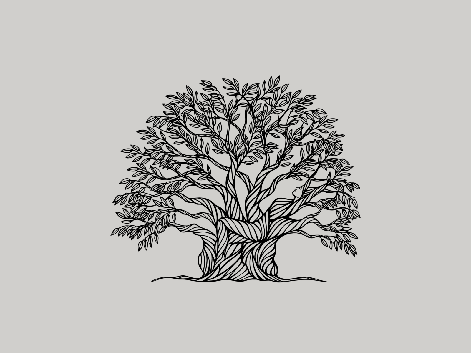 Snow Gum Tree’s Gift illustration by Yokaona on Dribbble