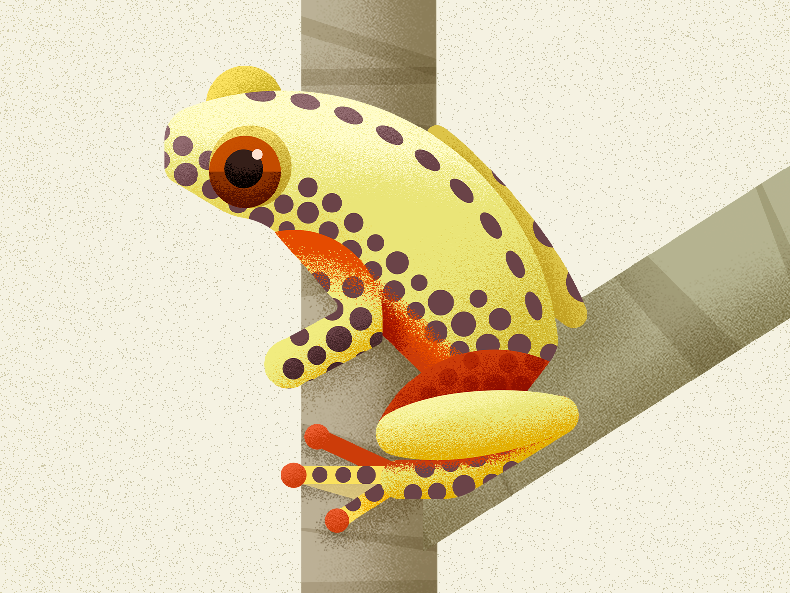 Clown Tree Frog by Nature Press on Dribbble
