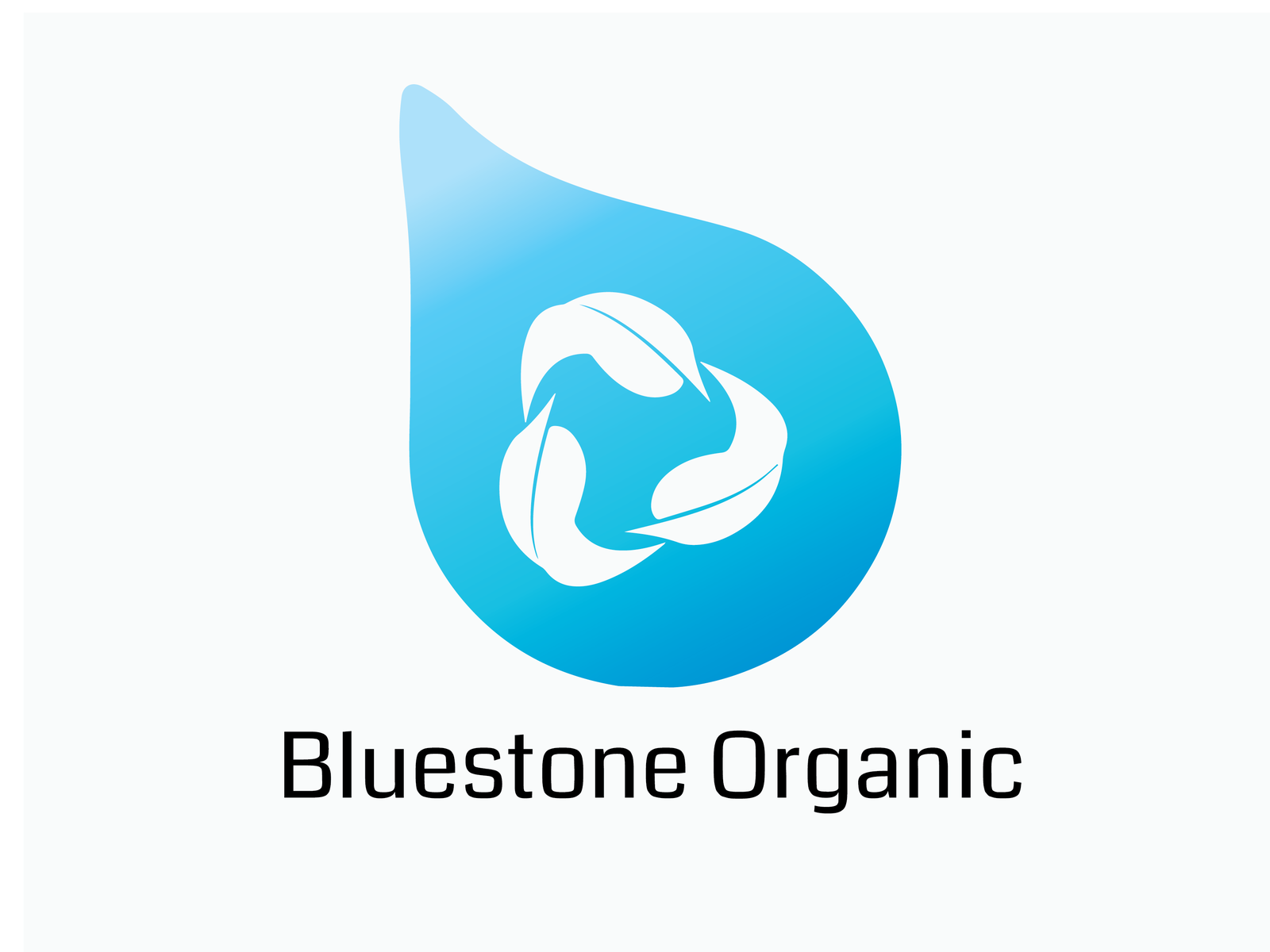 Bluestone logo by Prem Patil on Dribbble