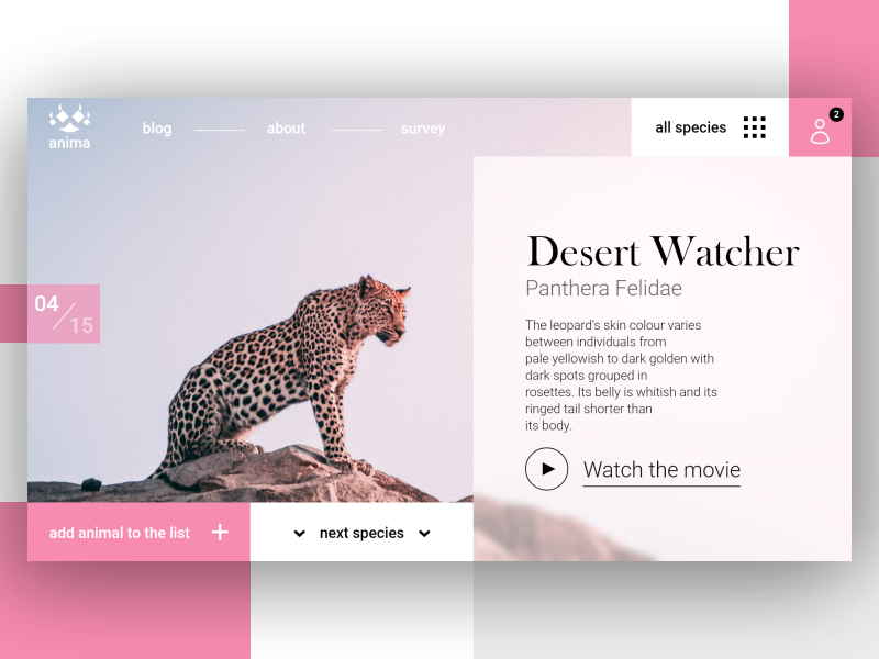 Anima Homepage by QuoroDesign on Dribbble