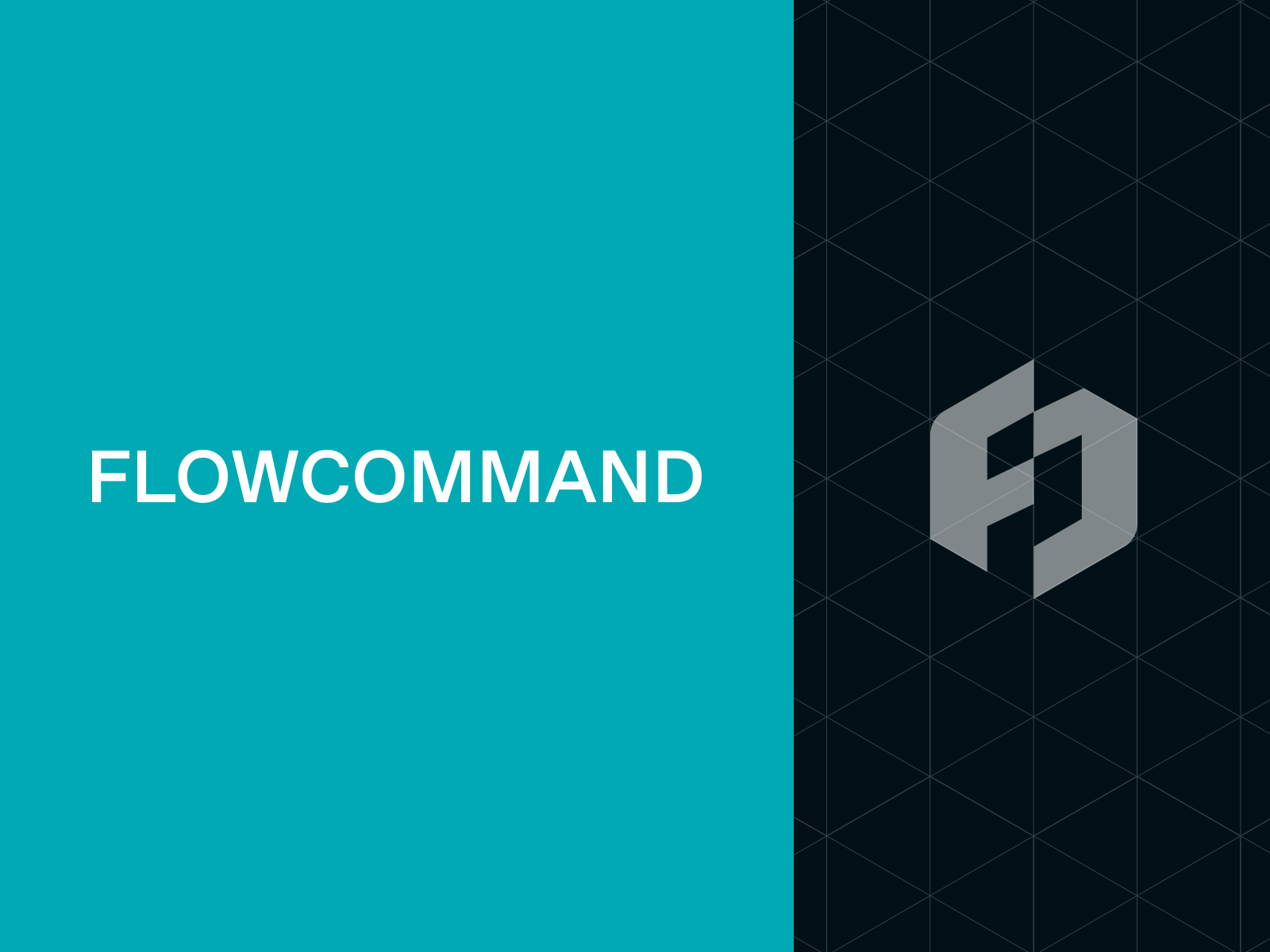 Flowcommand Logo Details by Michaela Fias on Dribbble