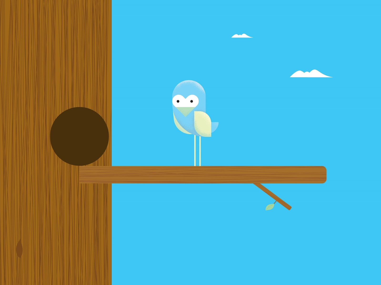 Bird by Abdumation on Dribbble