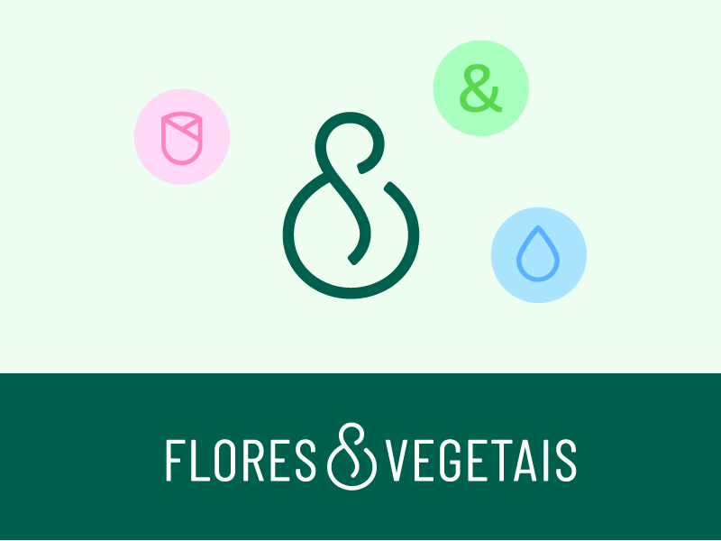 Flower Bud + & + Drop by Amanda Louisi on Dribbble