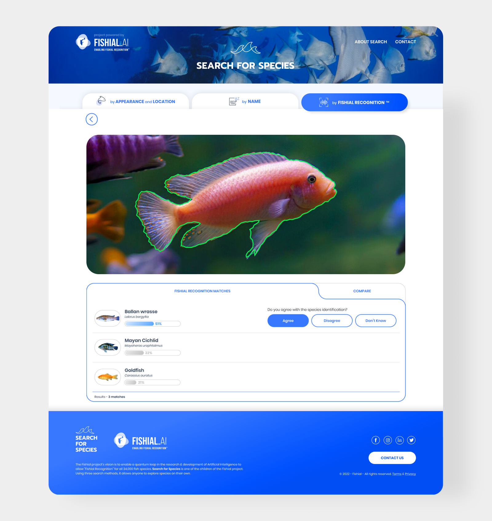Search for Species - Web app for fish identification. 🌊🐬 🐳 by Agata ...