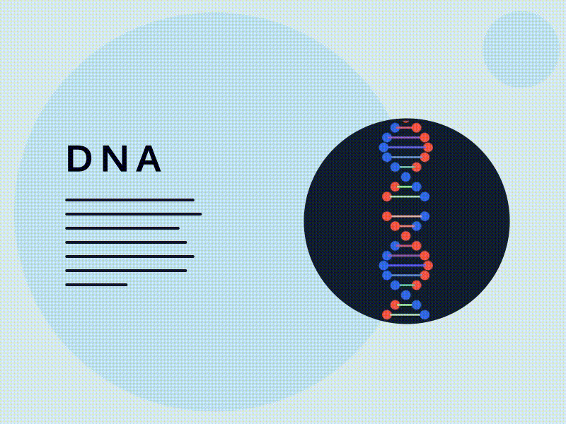 DNA Animation by V J I S R N on Dribbble