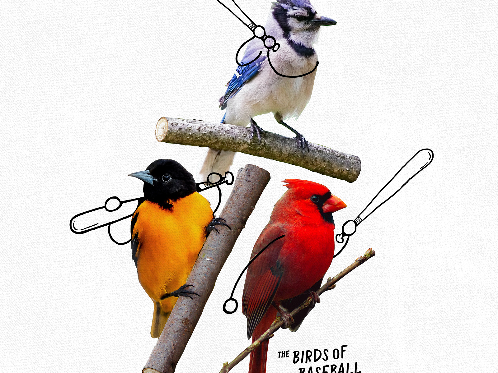 Birds of Baseball by Nick Ginty on Dribbble