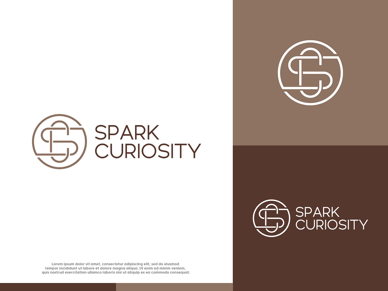 SPARK CURIOSITY - LOGO CONCEPT by Luckart on Dribbble