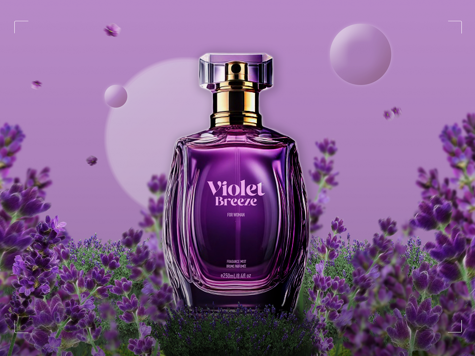 SPRING Violet Breeze by Daniela Ruiz (Ahorablue) on Dribbble
