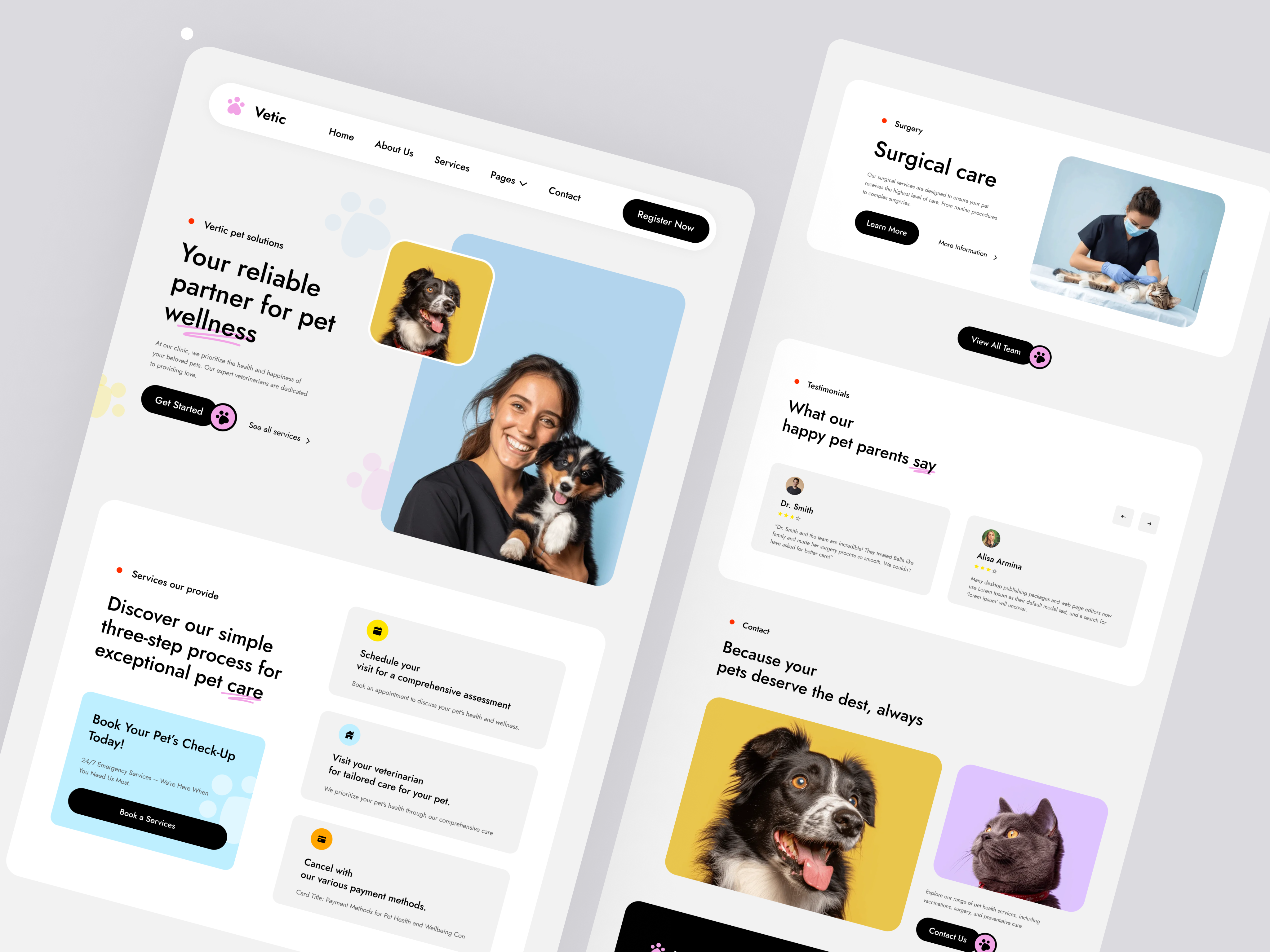 Pet Website Design by Jannatul Ferdous on Dribbble
