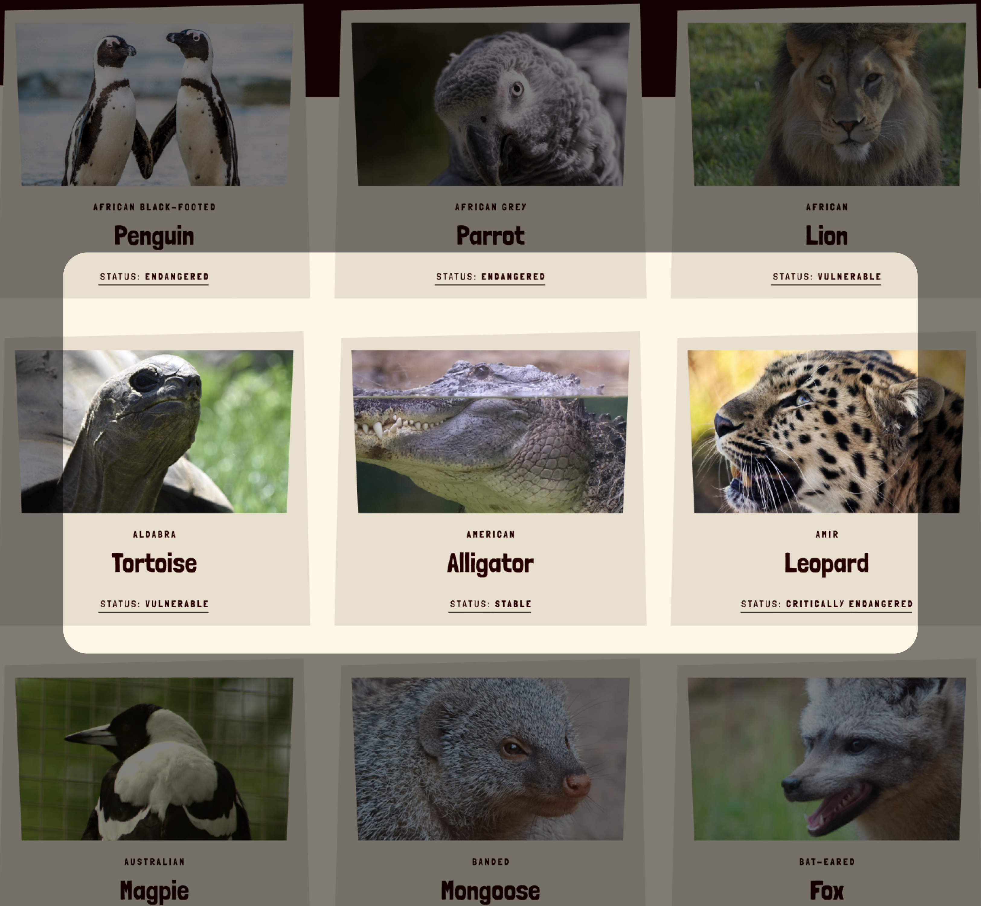 The Zoo Website Redesign by Bart Fish on Dribbble
