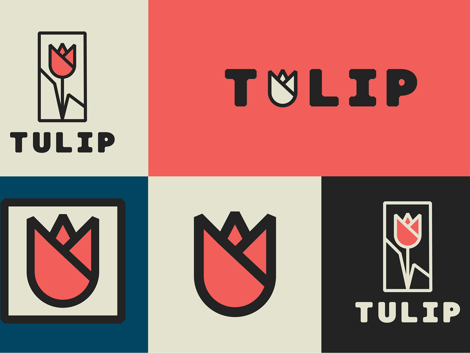 TULIP by Lex Bianchi on Dribbble
