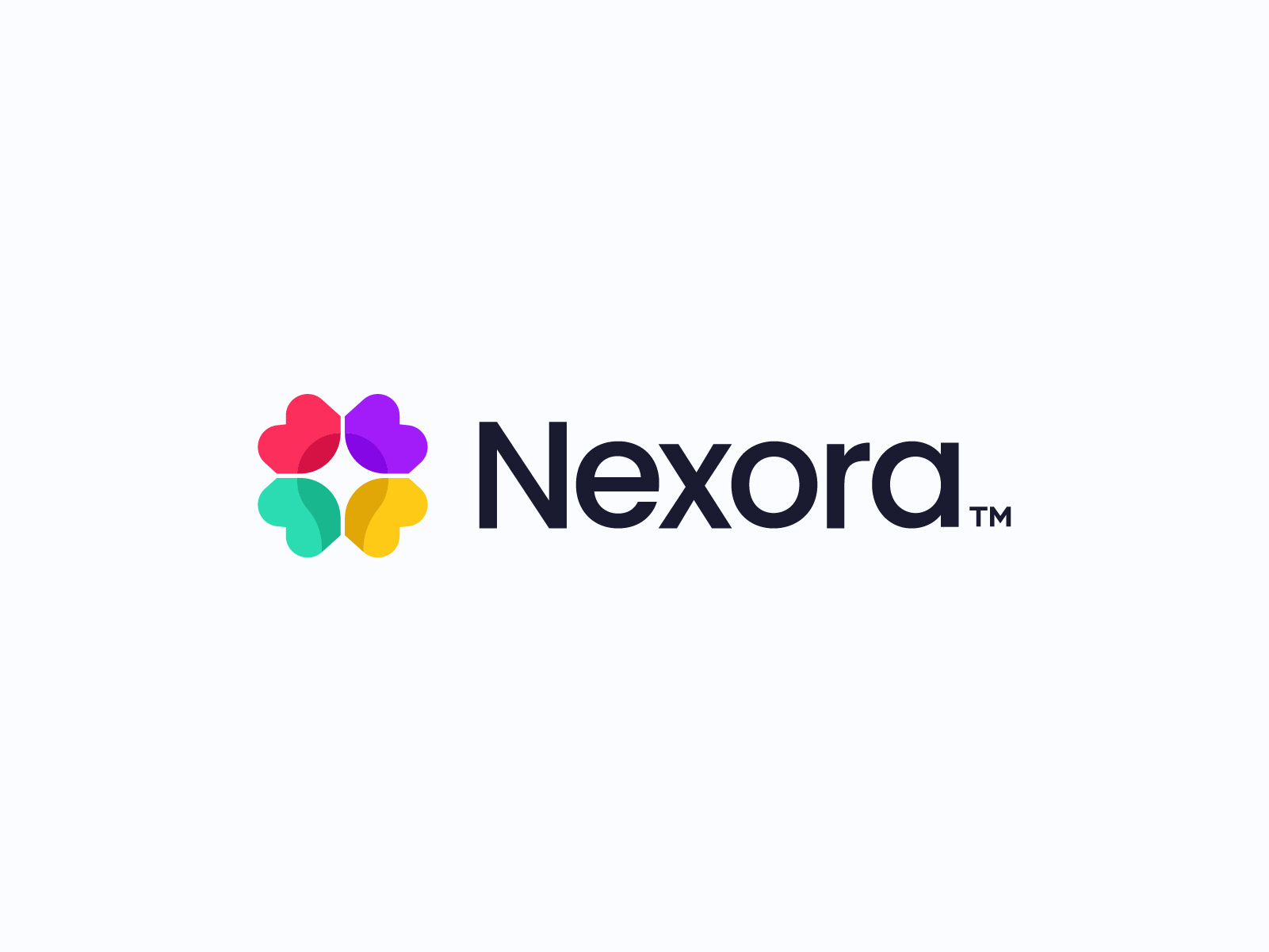 Nexora™ - Visual Identity - 2024 by Mohammad Sohel on Dribbble