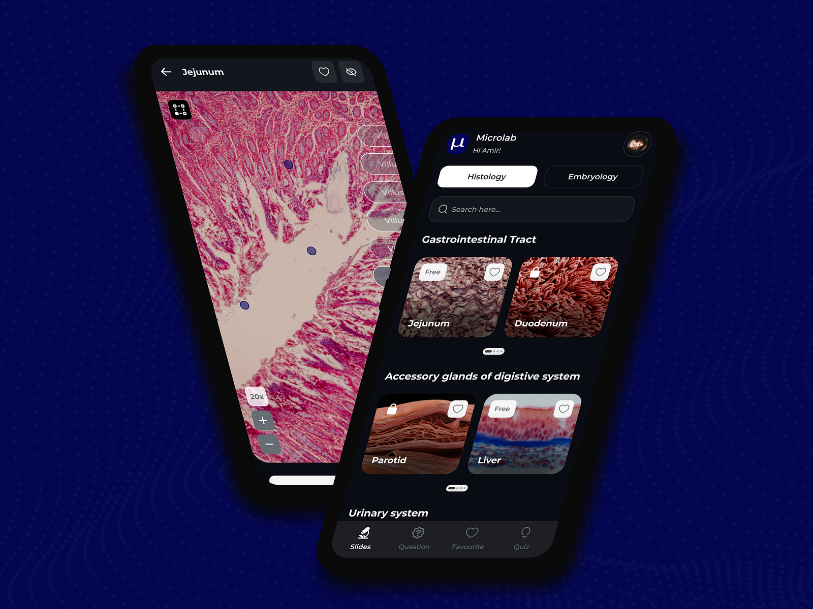 Microlab – Smart Study App for Medical Students🧬 by AmirReza Javadzadeh ...