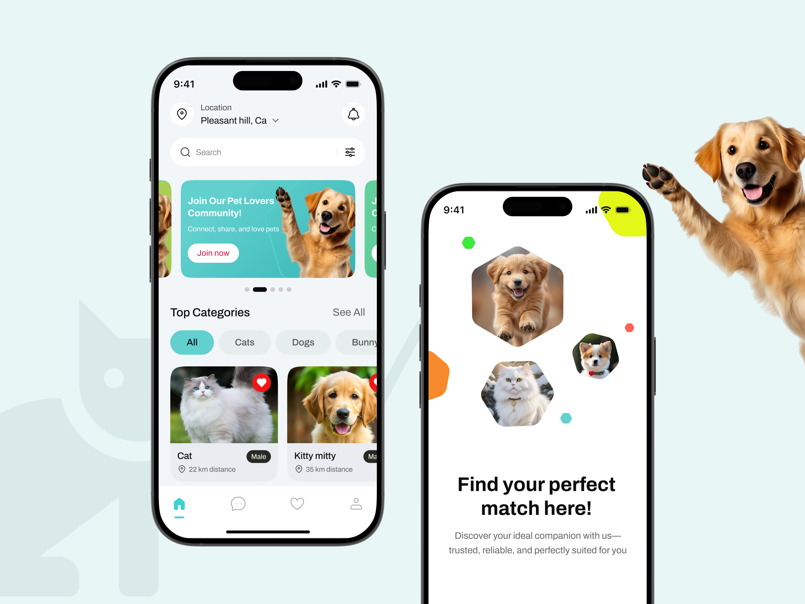 Browse thousands of Pet Store App UI images for design inspiration ...