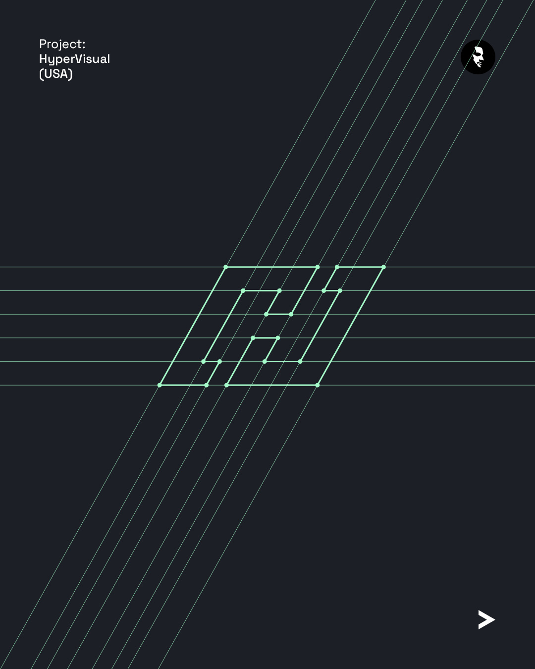 HyperVisual Logo & Branding by Drasko Stamatovic on Dribbble