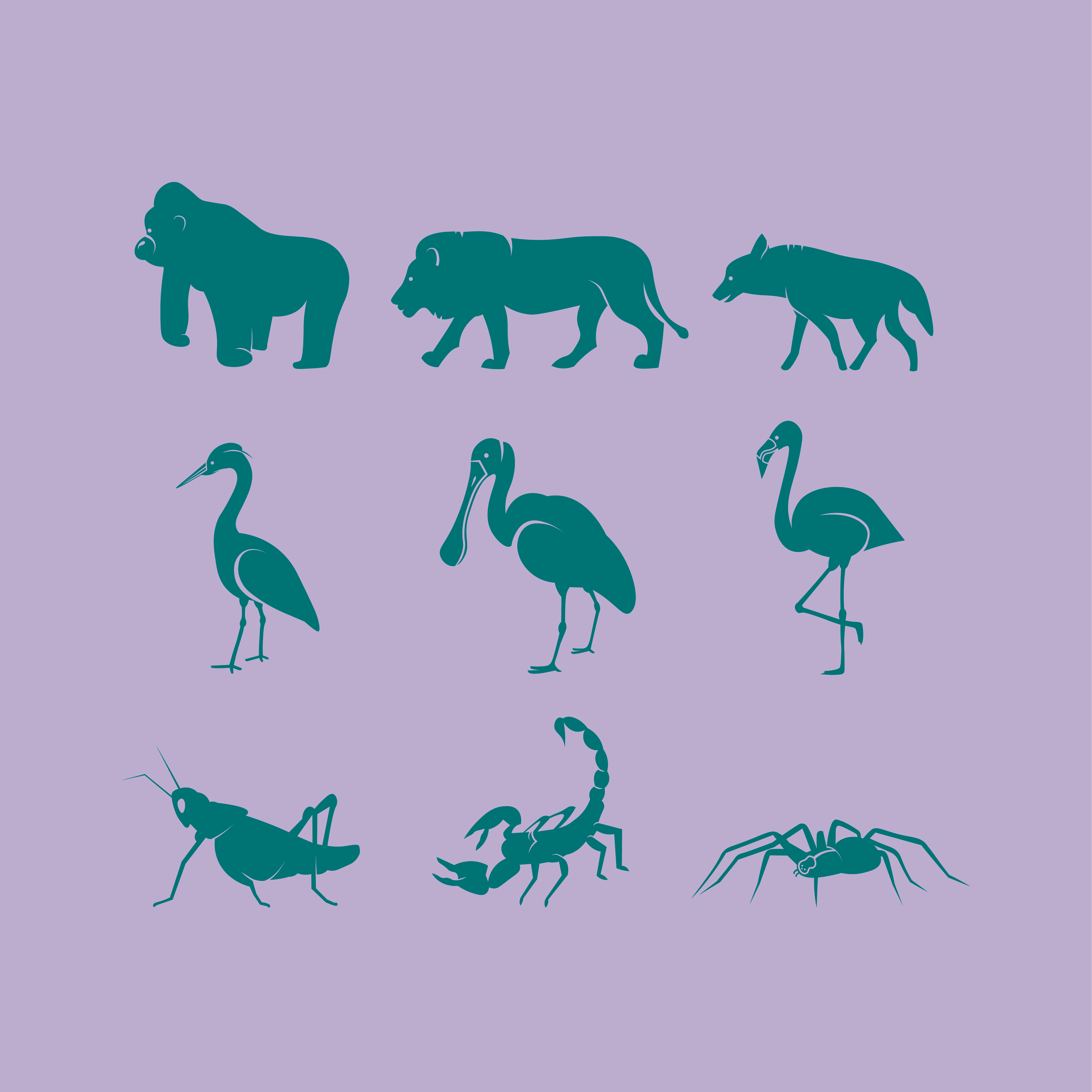 Zoo Symbol System, Student Work 2025 by Emily Parry on Dribbble