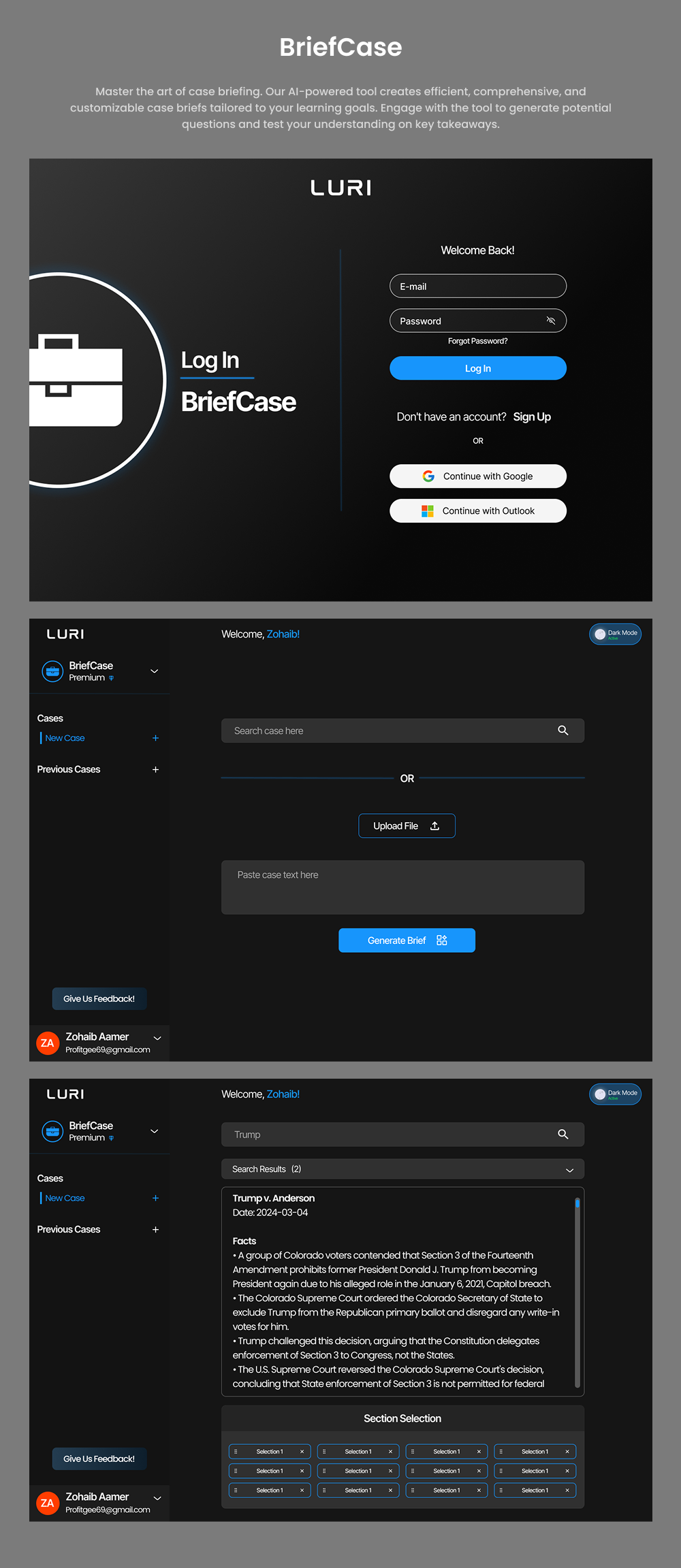 Luri AI LLM Design by Saad Khalid on Dribbble