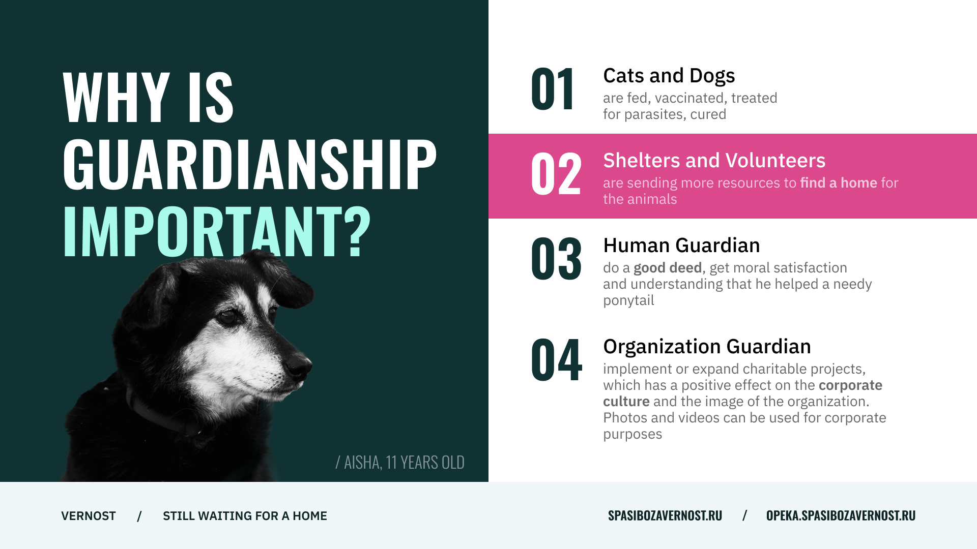 Pitch deck Presentation pet design Slide by Anastasiia Gromova on Dribbble