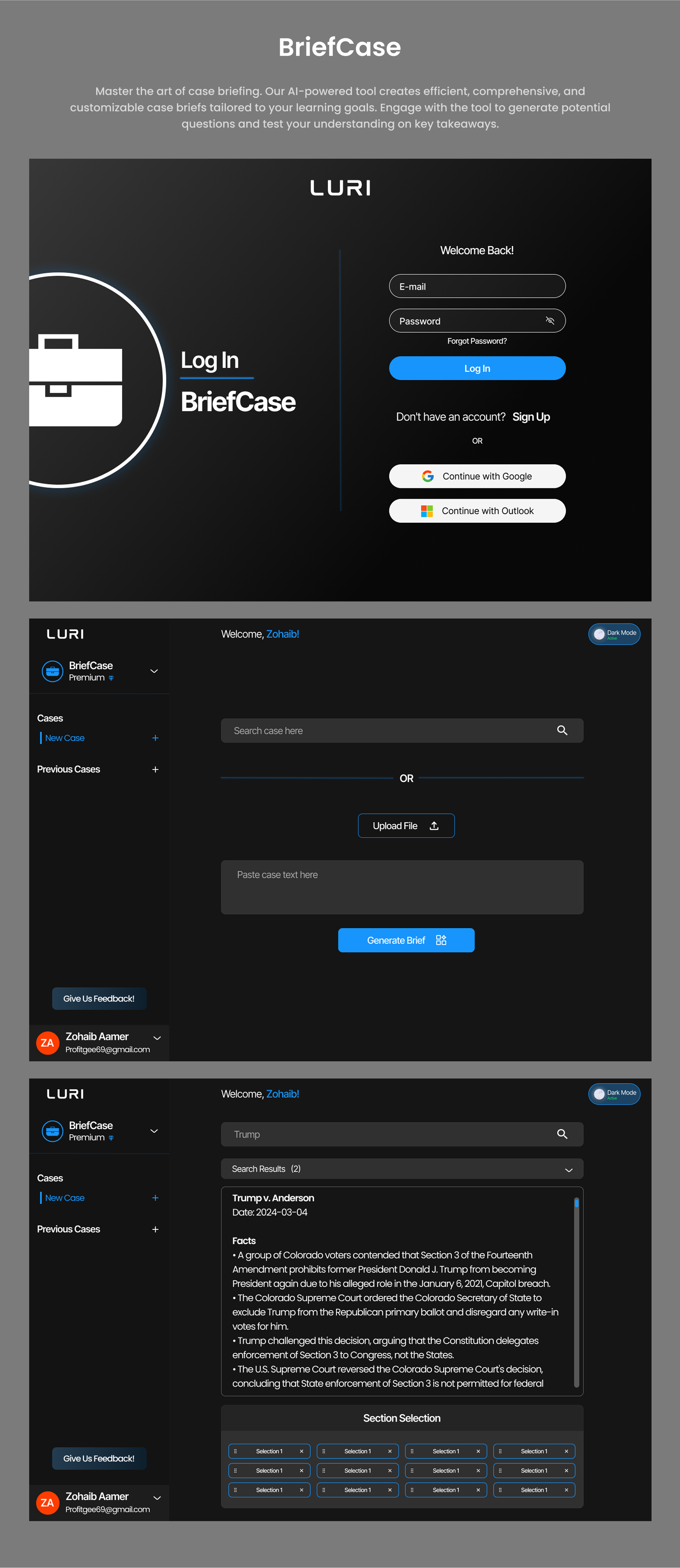 Luri AI LLM Design by Saad Khalid on Dribbble