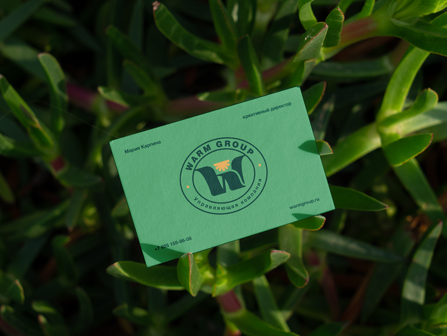 W Letter Warm Vintage Logo by Nikita Golubev on Dribbble