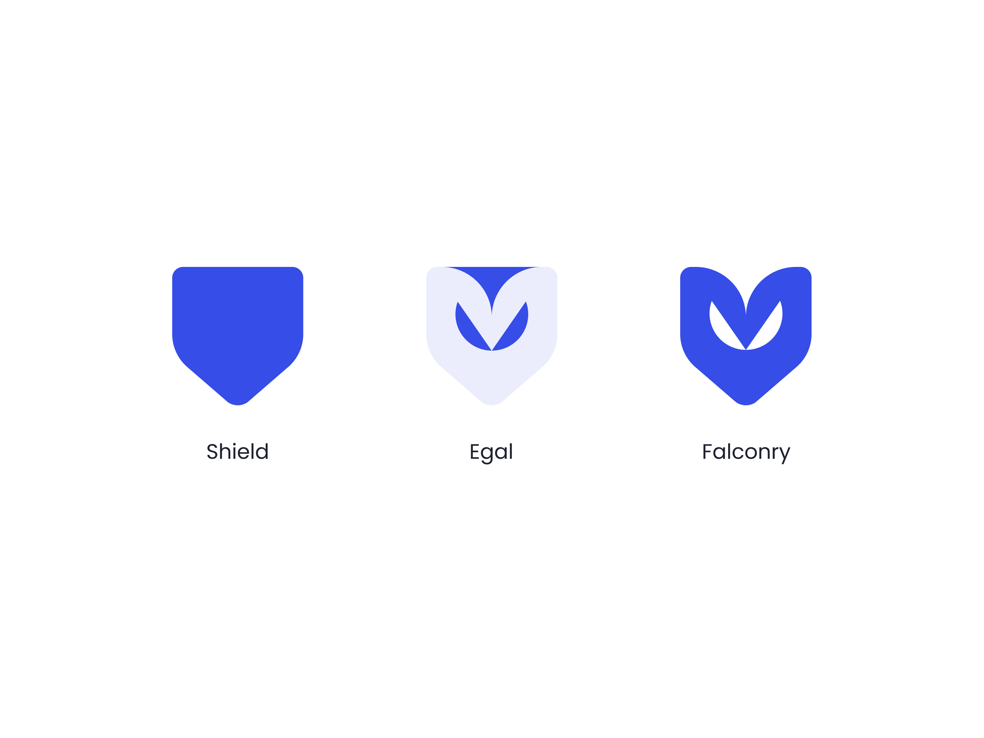 Falconry: branding, logo design, visual identity by Kahaf on Dribbble