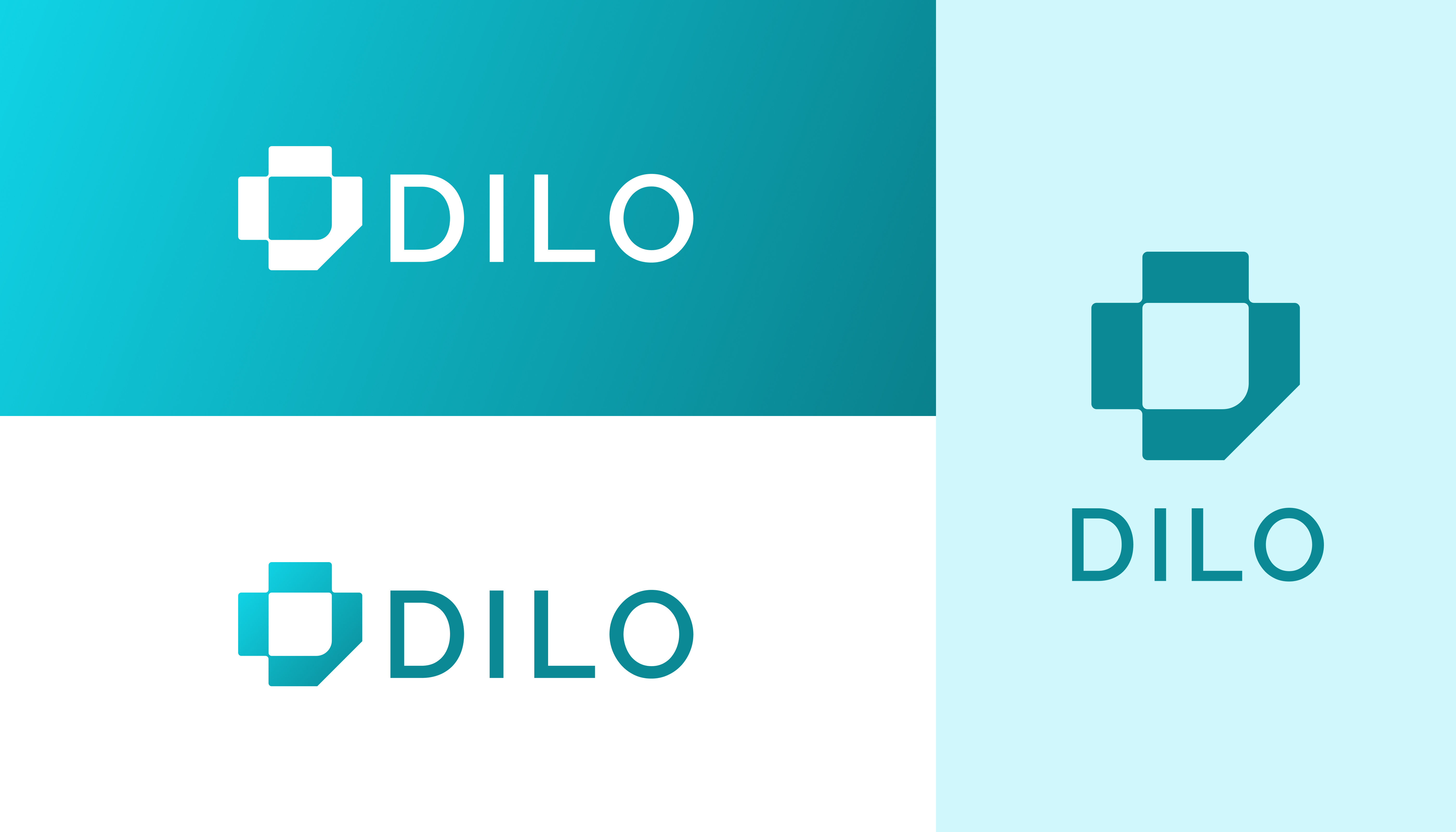Dilo Branding by Afifudin Zuhri for Rukuru Studio on Dribbble