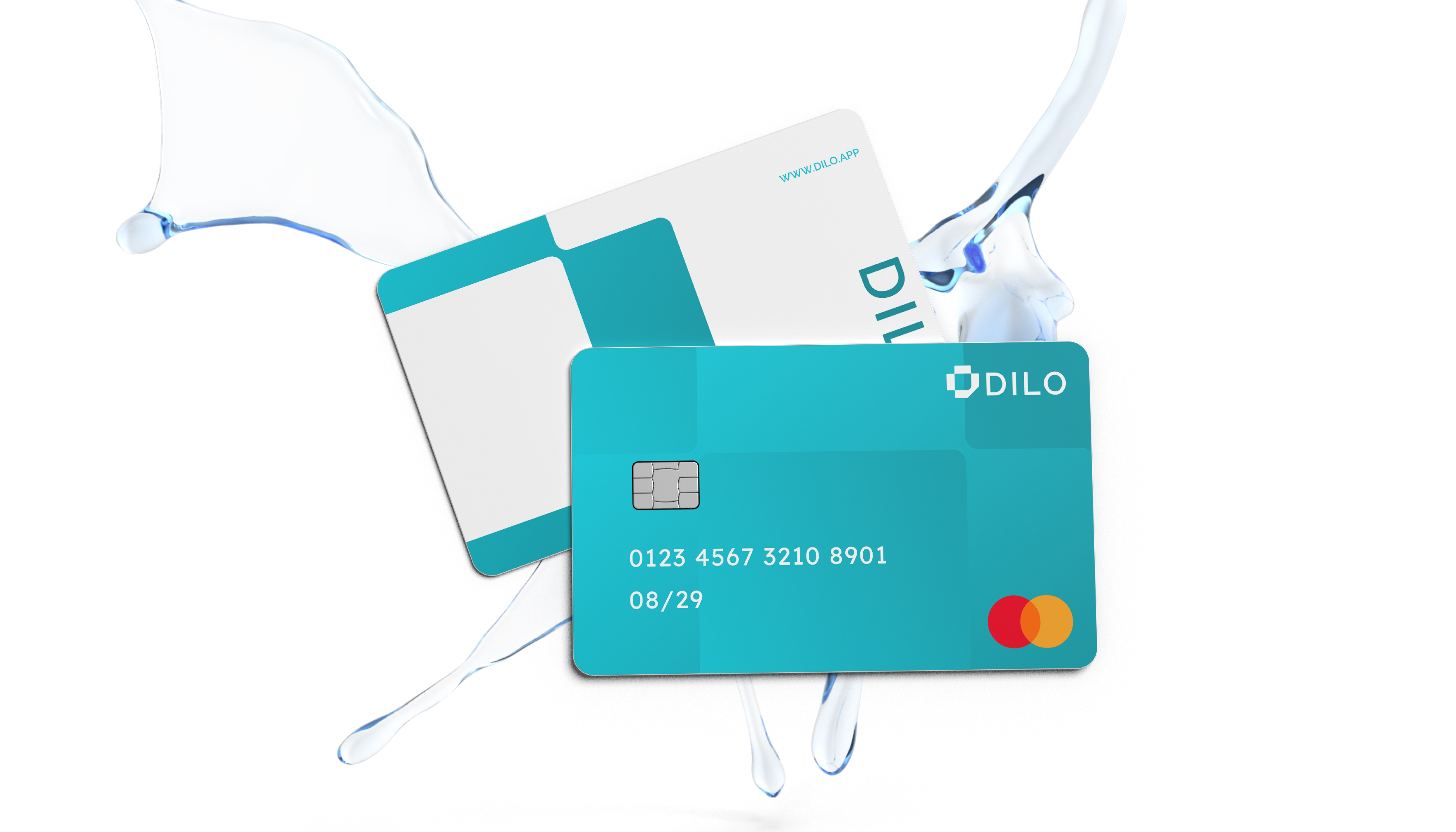 Dilo Branding by Afifudin Zuhri for Rukuru Studio on Dribbble
