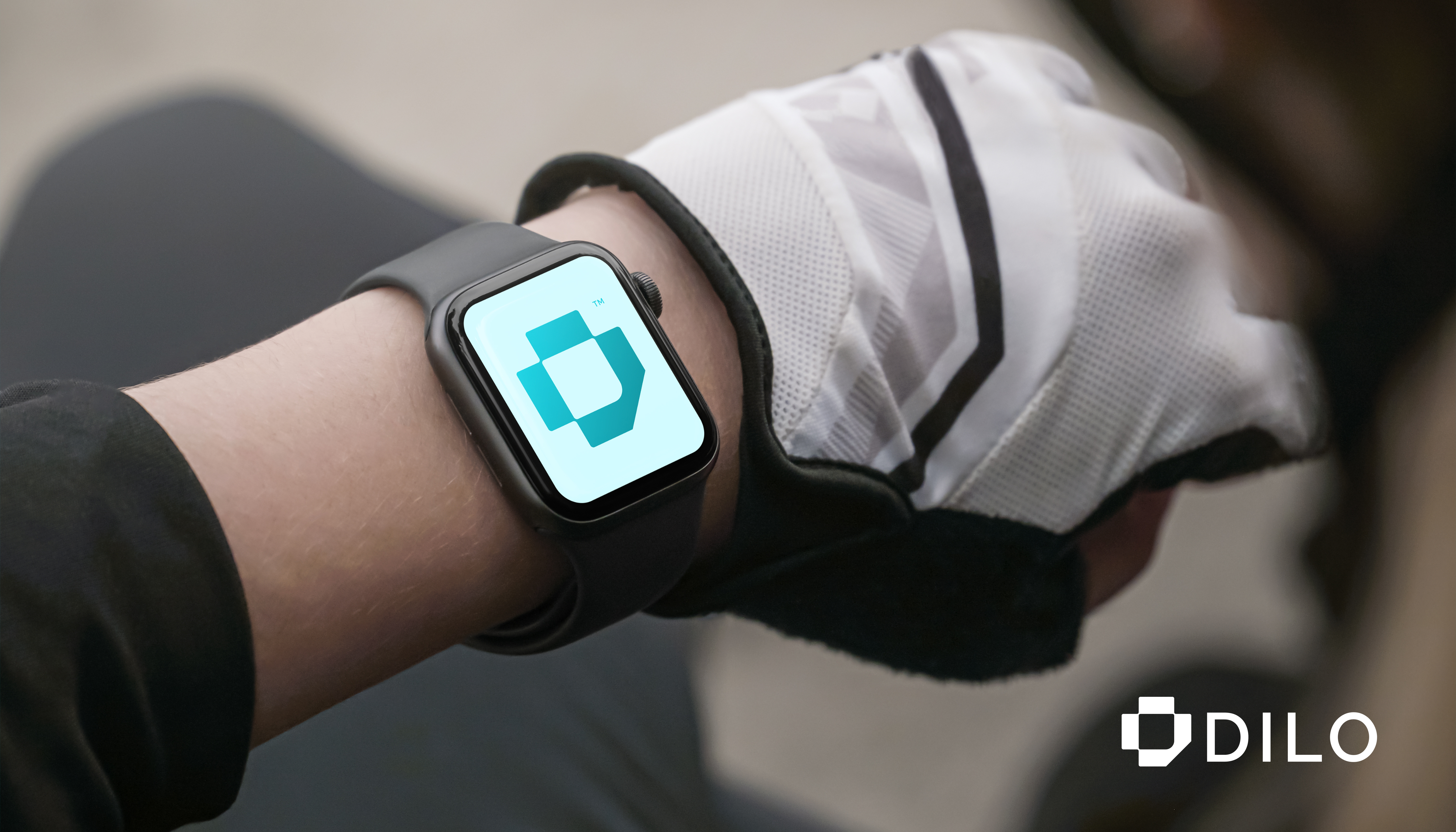 Dilo Branding by Afifudin Zuhri for Rukuru Studio on Dribbble