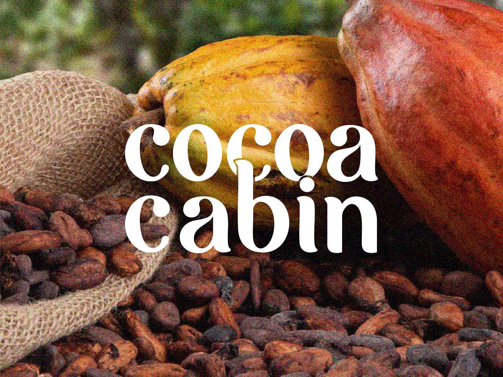 Cocoa Cabin | Visual Identity | Logo Design by King Of The Storm on ...