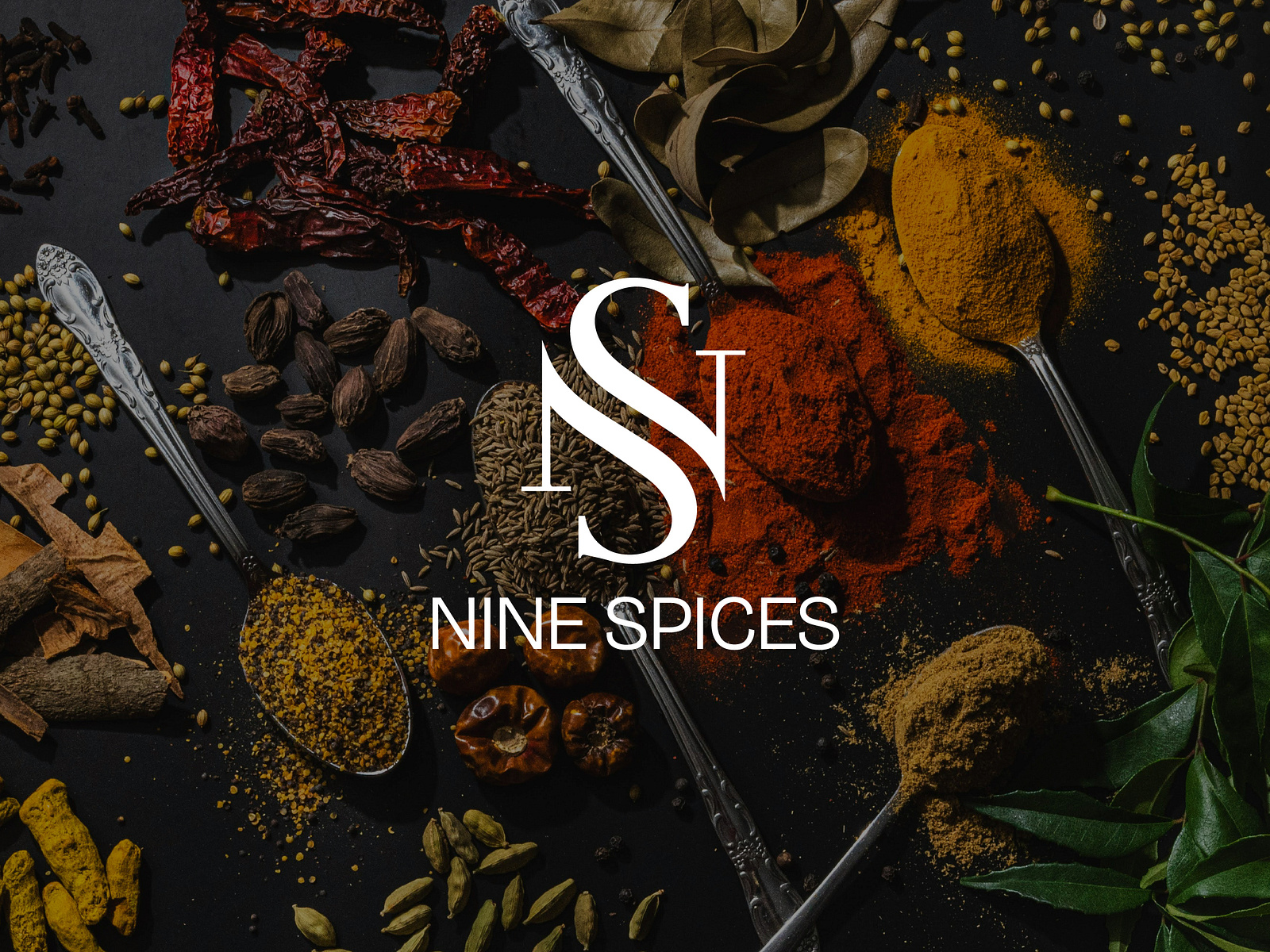Nine Spices | Identity Design, Packaging & Website Design by Muskan ...