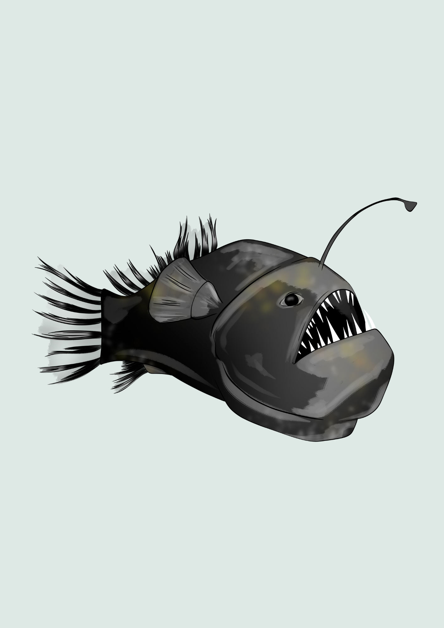 Angler fish by Lisen Vennesland on Dribbble