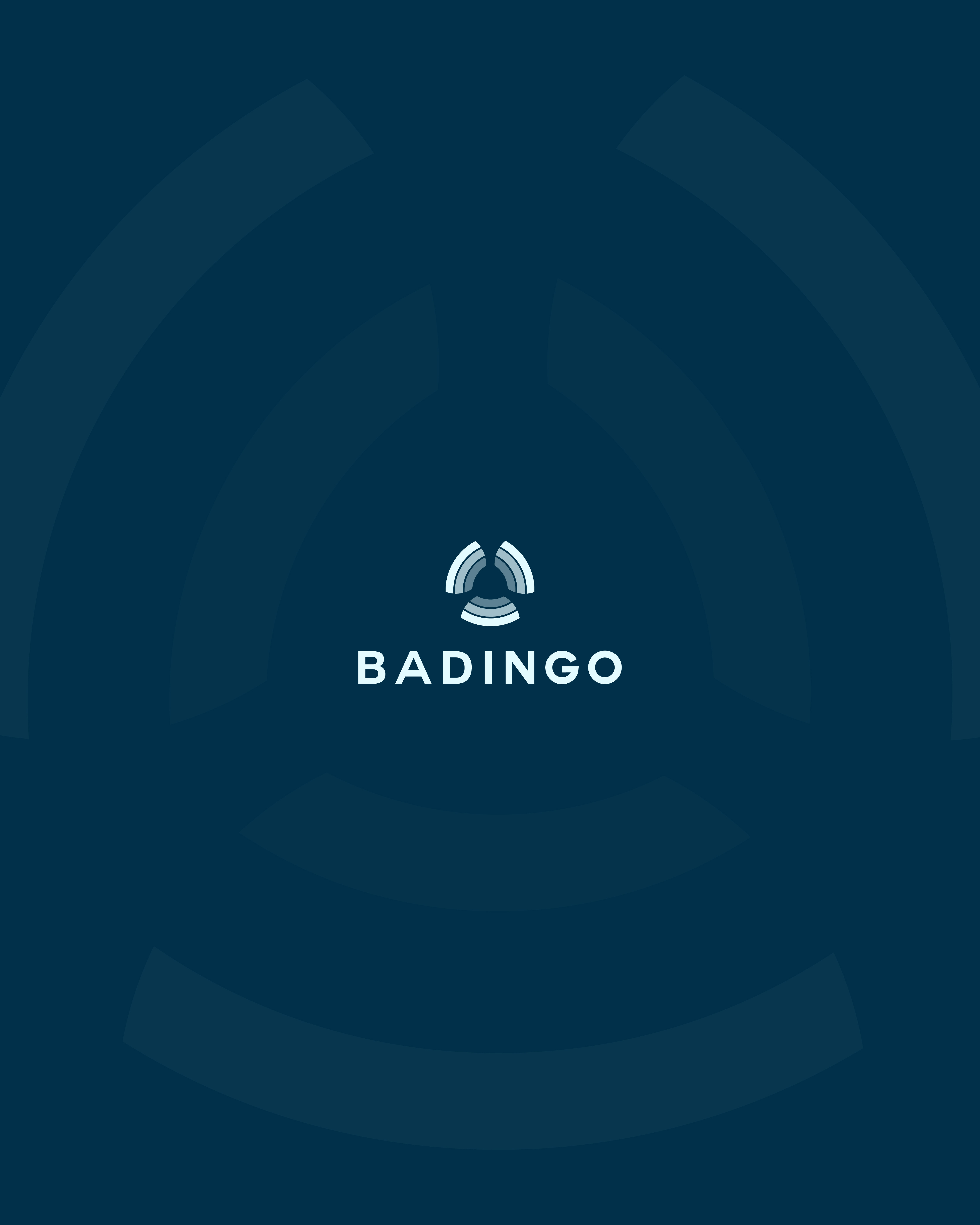 Brand Identity | Badingo Global by Su' Bakr on Dribbble
