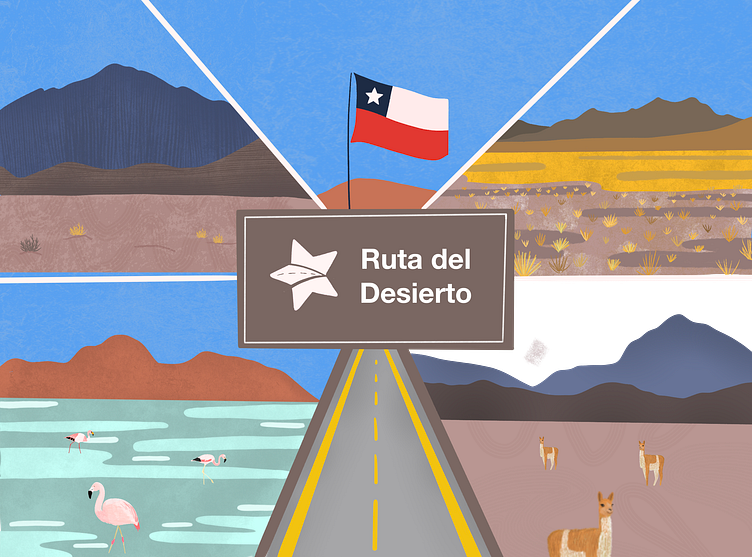 Ruta del desierto Chile by Anwen Williams on Dribbble
