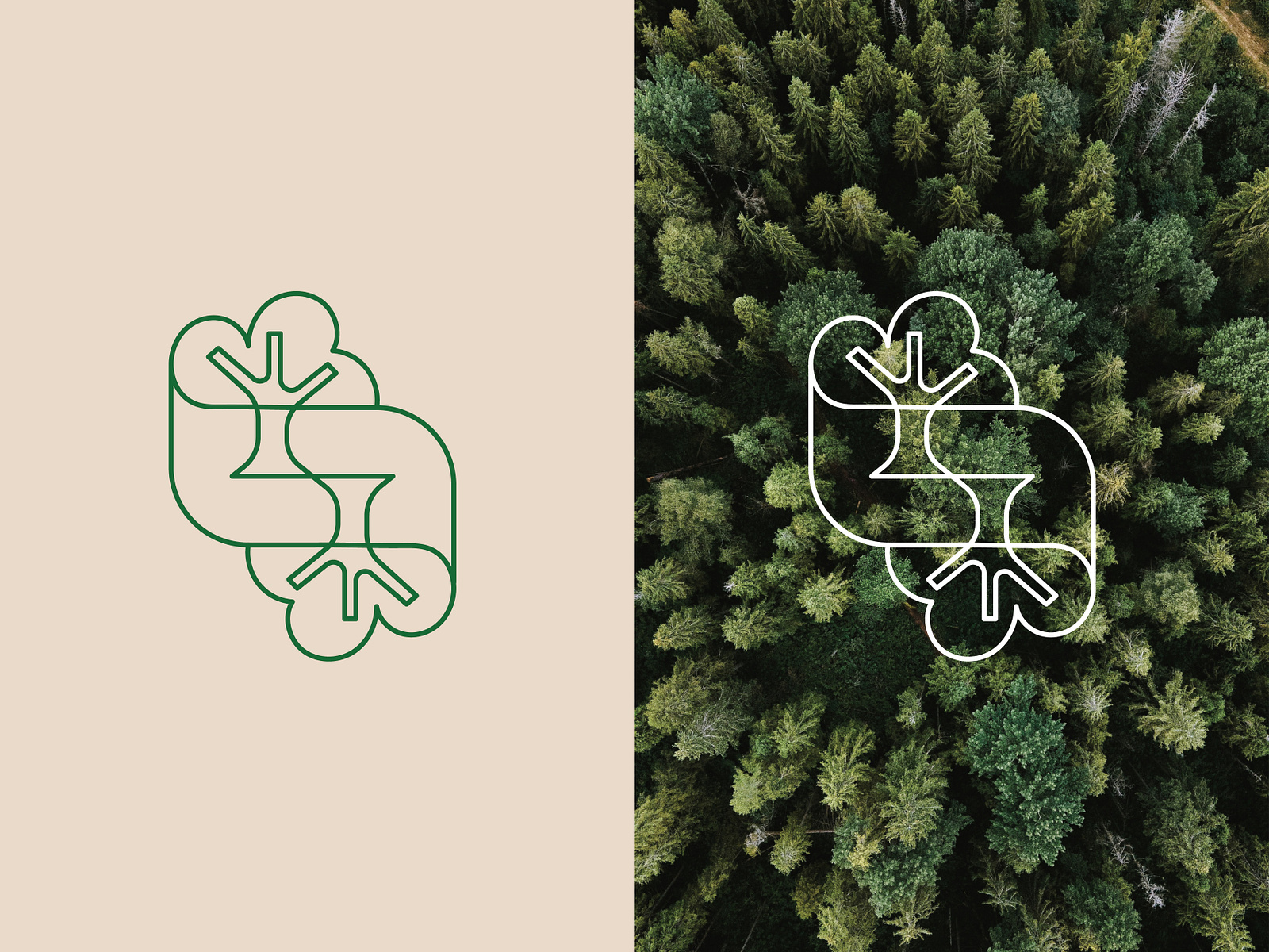 S TREE LOGO by Dev on Dribbble
