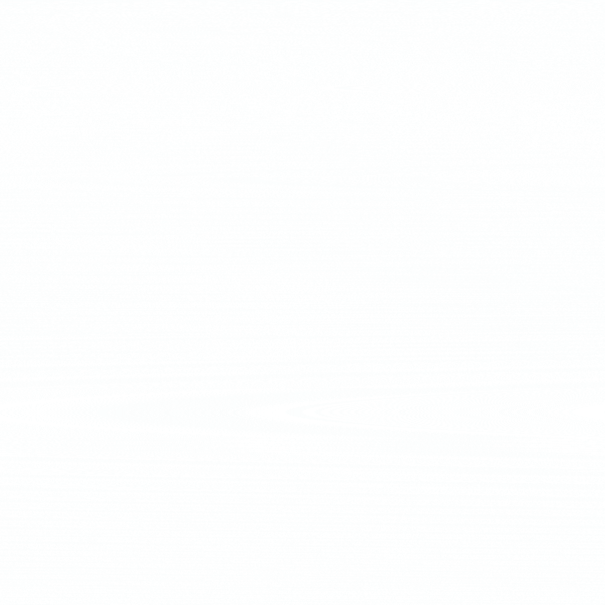 Bird Rescue NGO Brand Identity Design by Dil Nawaz | The Lion Studios ...