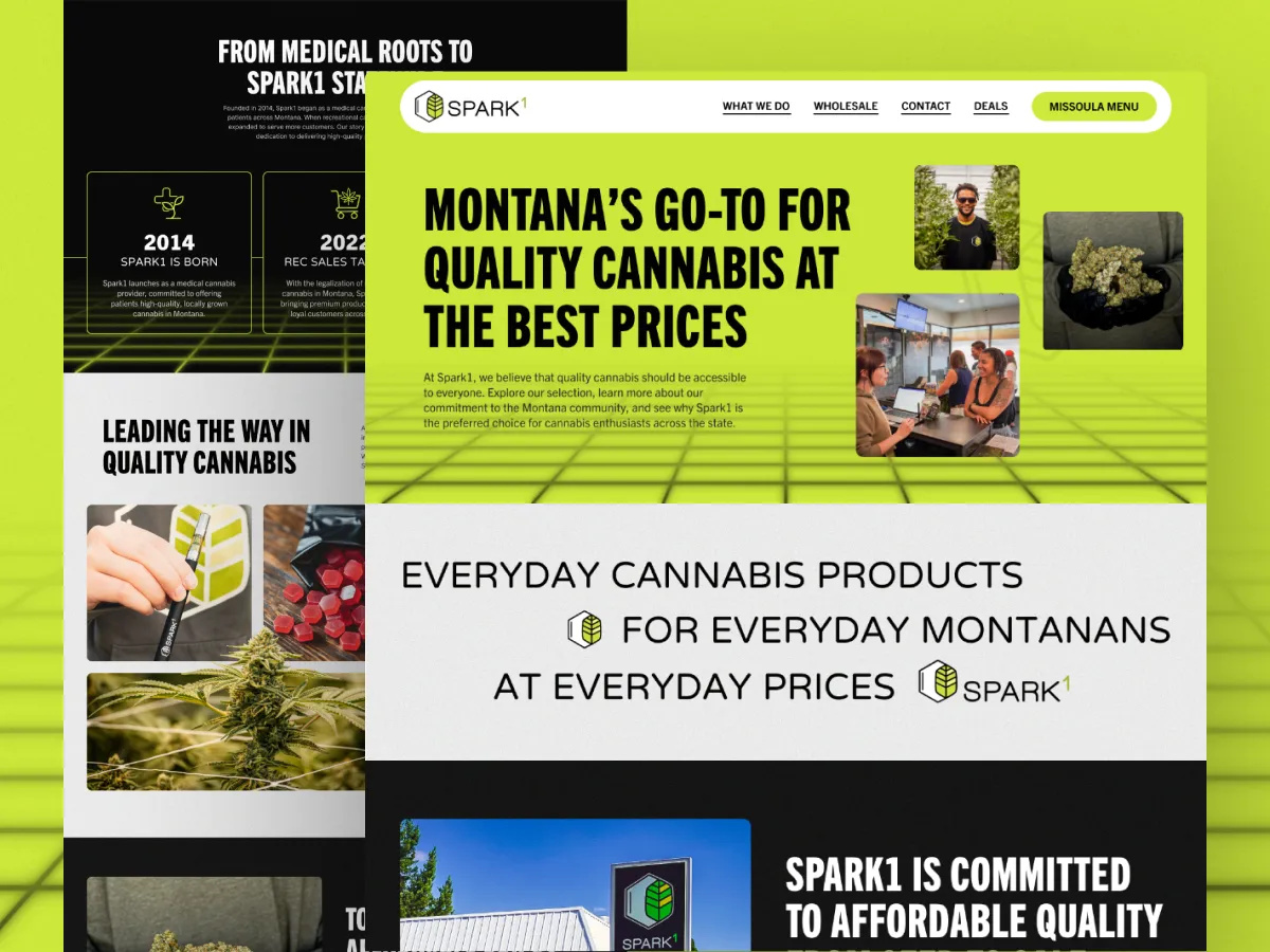 Spark1 by Tresha Sanders on Dribbble