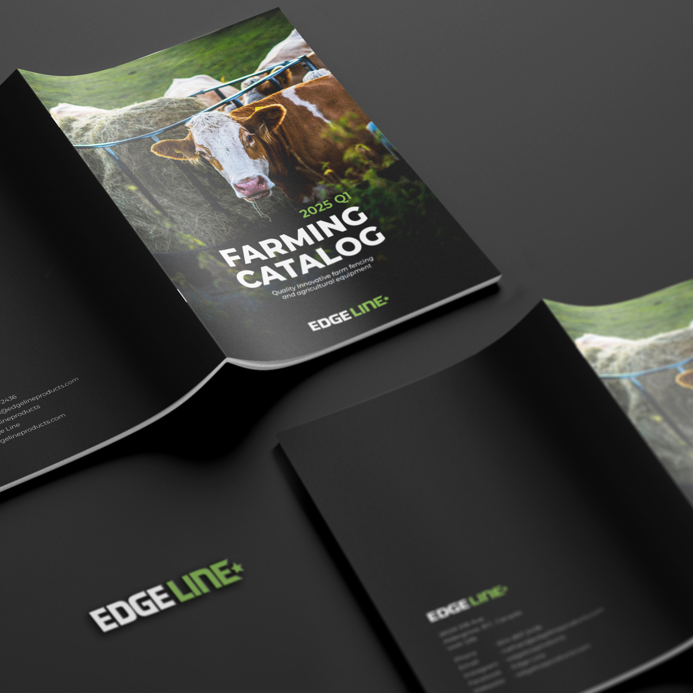 Product Catalog designs, themes, templates and downloadable graphic ...