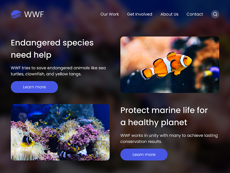 World Wildlife Fund (WWF) Tablet Screens by Hannah L on Dribbble
