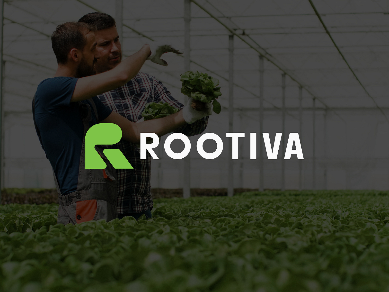 R Seeds Logo, Agricultural Research Firms, Visual Identity by Logo Buzz7 Logo and Branding ...