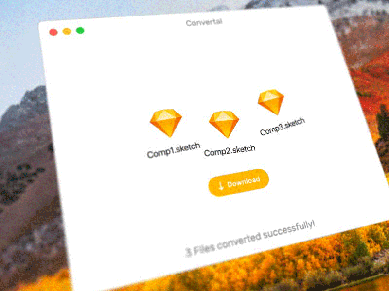 File converter function animation by Denis on Dribbble