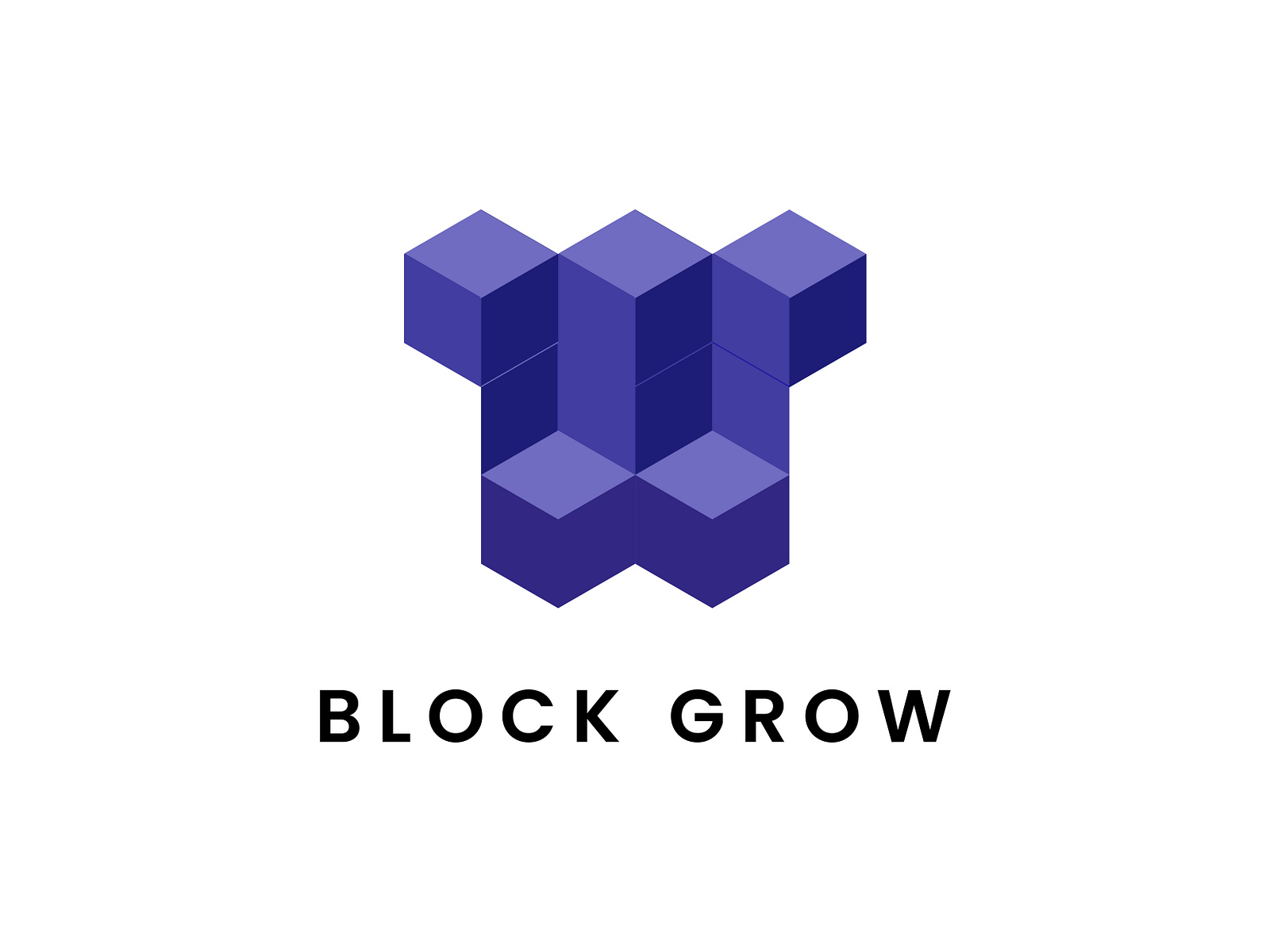 Block Grow Marketing Logo by Sourov Mahmud on Dribbble