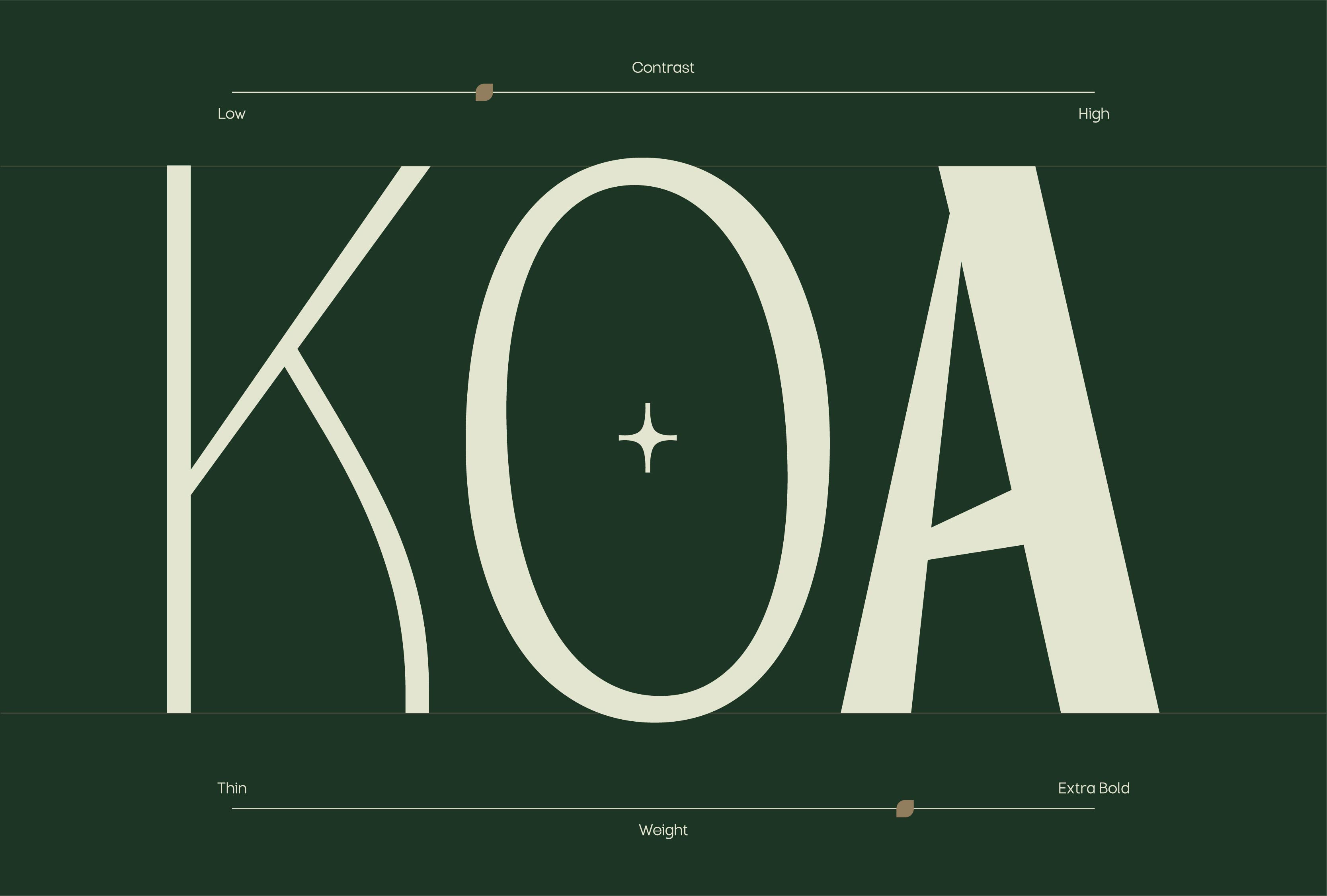 TBJ Orcherum Unique Sans Display | Updated by Taboja Studio on Dribbble