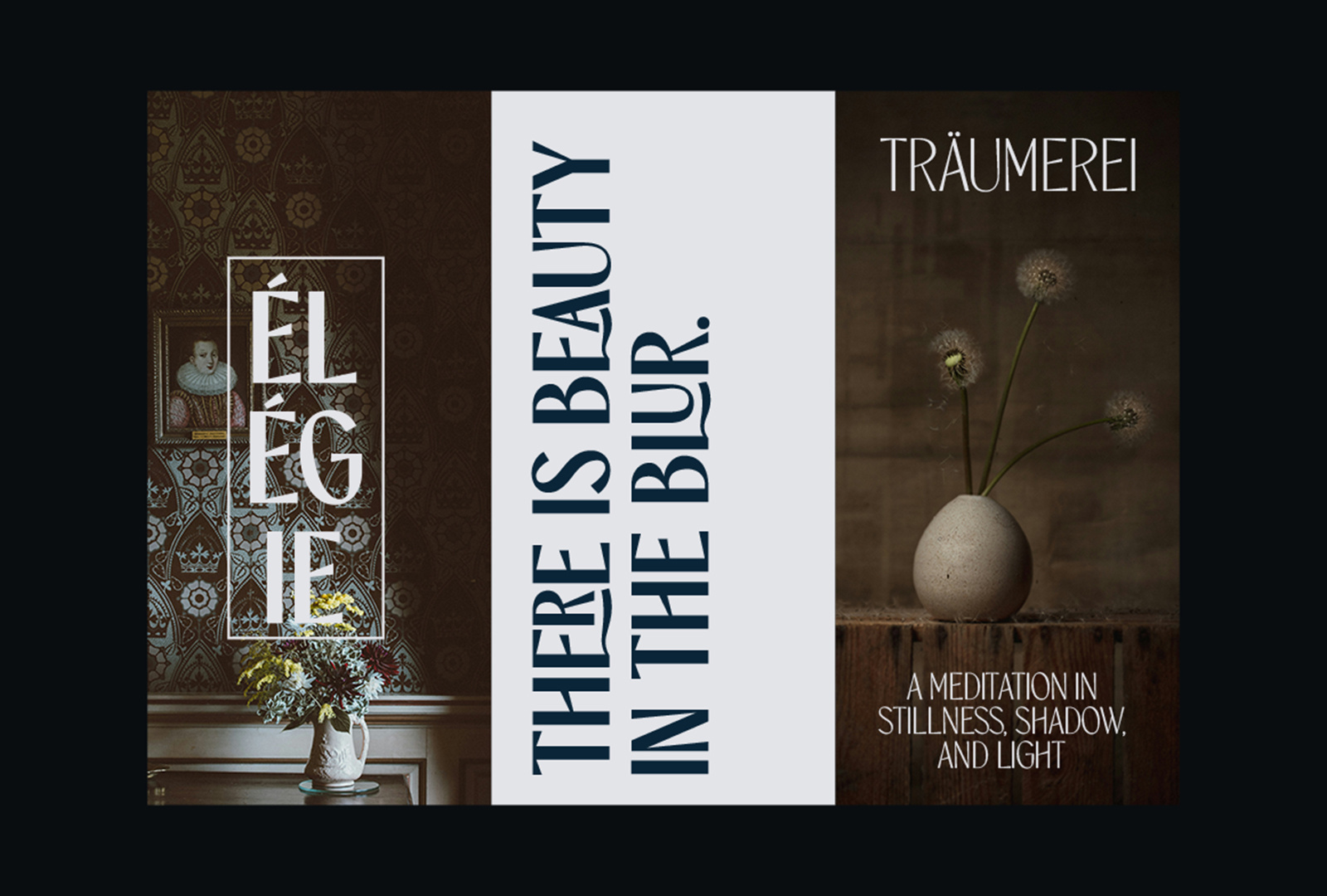 TBJ Orcherum Unique Sans Display | Updated by Taboja Studio on Dribbble