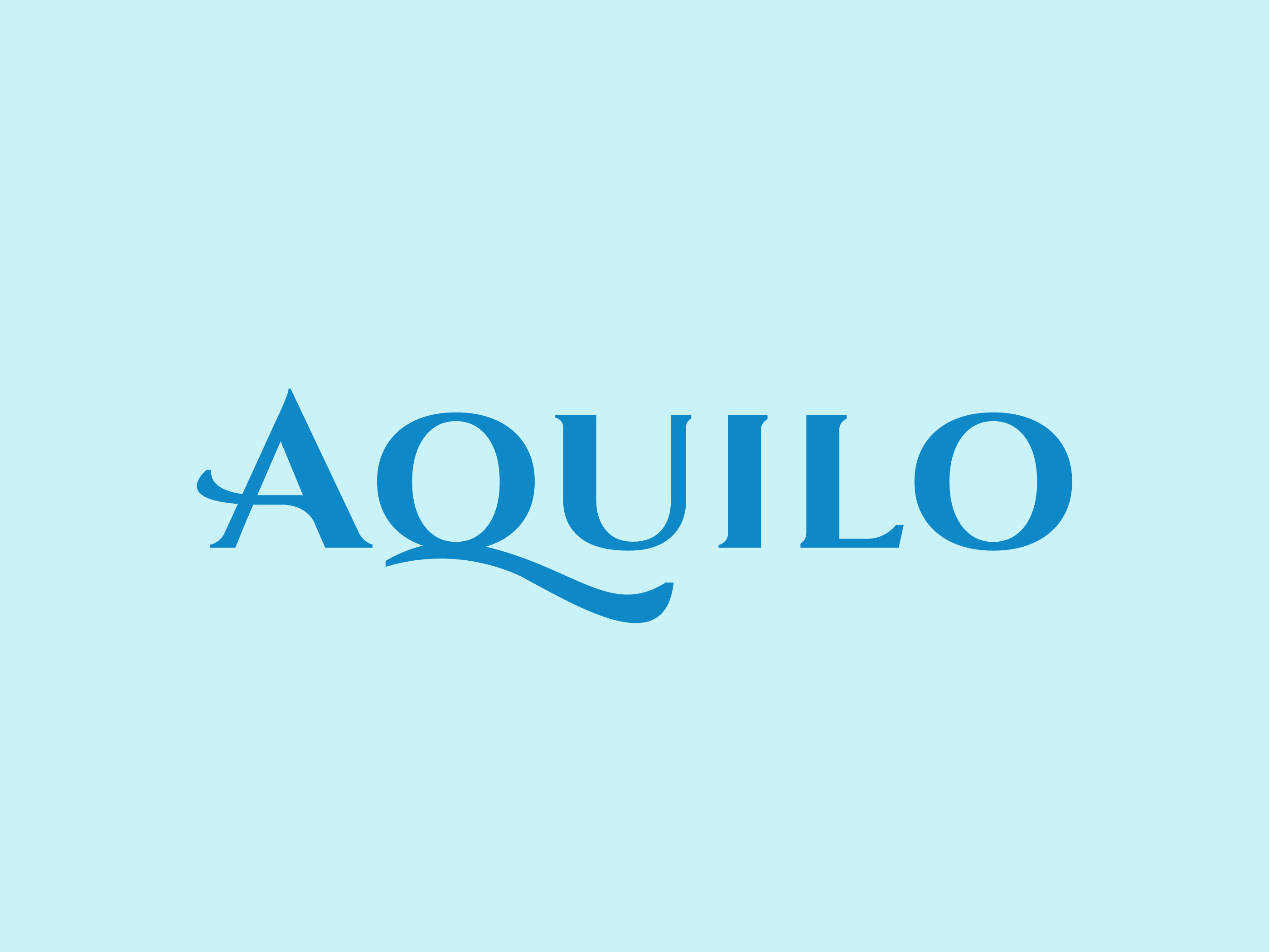 Aquilo – Flying Fish Logo | Bold & Modern Animal Logo Design by DAINOGO ...